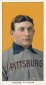 T206 Honus Wagner Baseball Card: The Most Expensive Baseball Card Ever