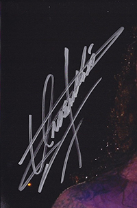 The Undertaker Cards and Memorabilia Buying Guide