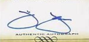 Jimmie Johnson Cards, Autograph and Memorabilia Guide