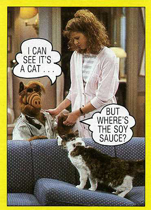 1987 Topps Alf Trading Cards Checklist, Set Info, Buying Guide, More