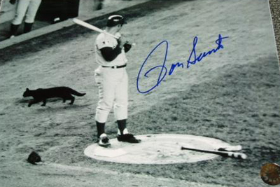 Ron Santo Cards, Rookie, Autographed Memorabilia Guide